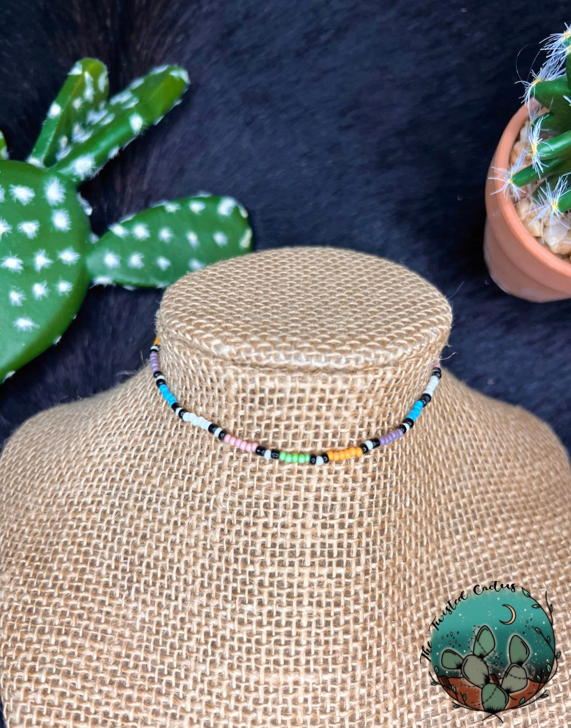 The Izzy – The Twisted Cactus - Citori Kramer